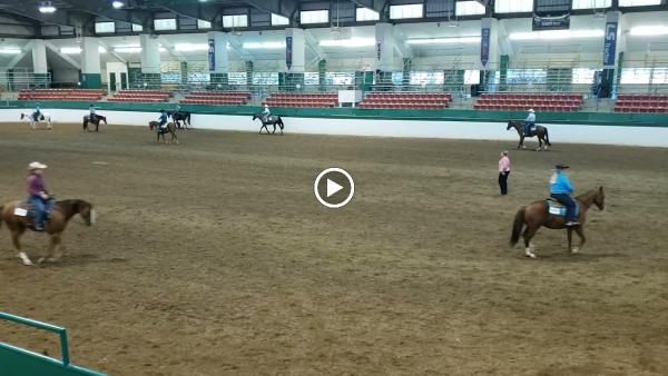 Best 10 Horseback Riding Lessons Near Me - DistinguishedTeaching