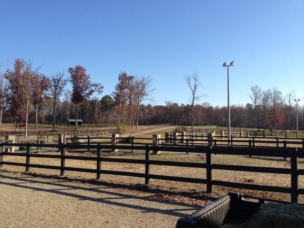 Best 10 Horseback Riding Lessons Near Me - DistinguishedTeaching